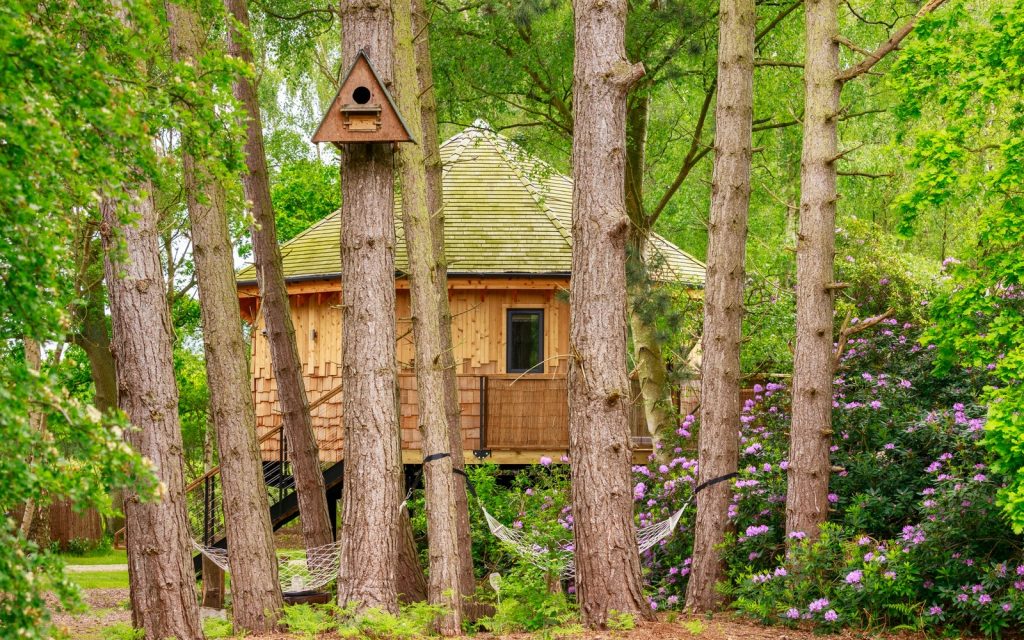The Allure of a Luxury Treetop Escape… – Leicester | Pukaar Magazine ...