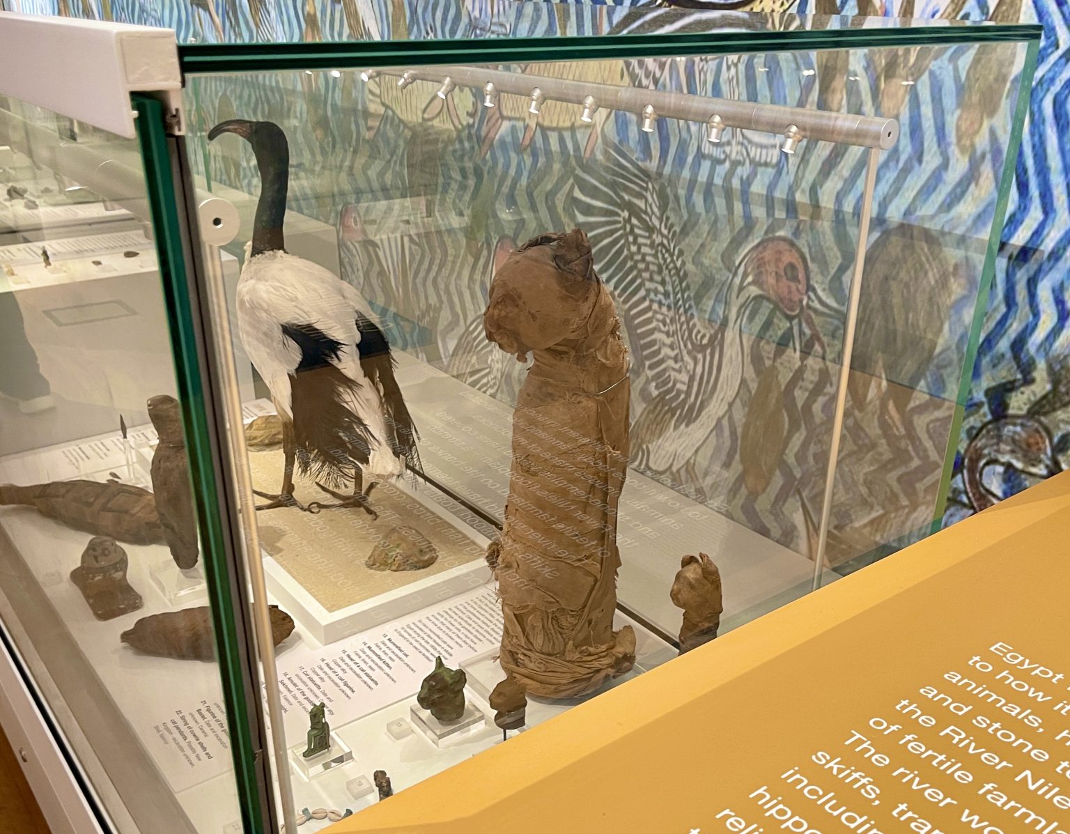 Celebrating 175 years of Leicester Museum and Art Gallery – Leicester ...